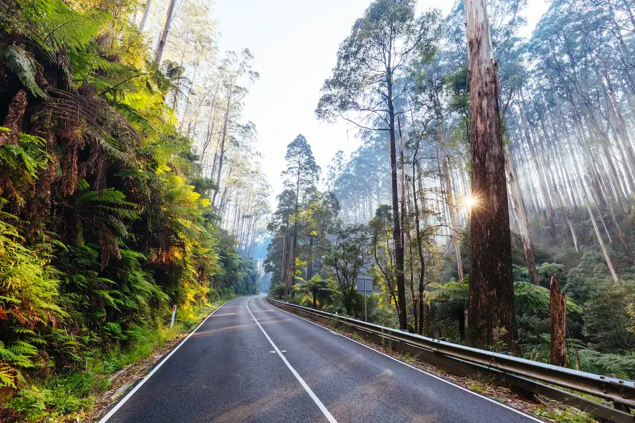 Narbethong | Narbethong Information | Heart of Victoria